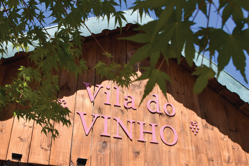 Descubra a Experiência Única da Vindima em Gramado: Atrações Pisa da ...
